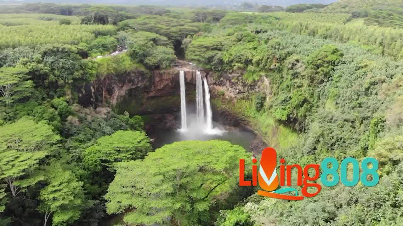 Honolulu Launches Islandwide E-Waste Disposal Program – KHON2