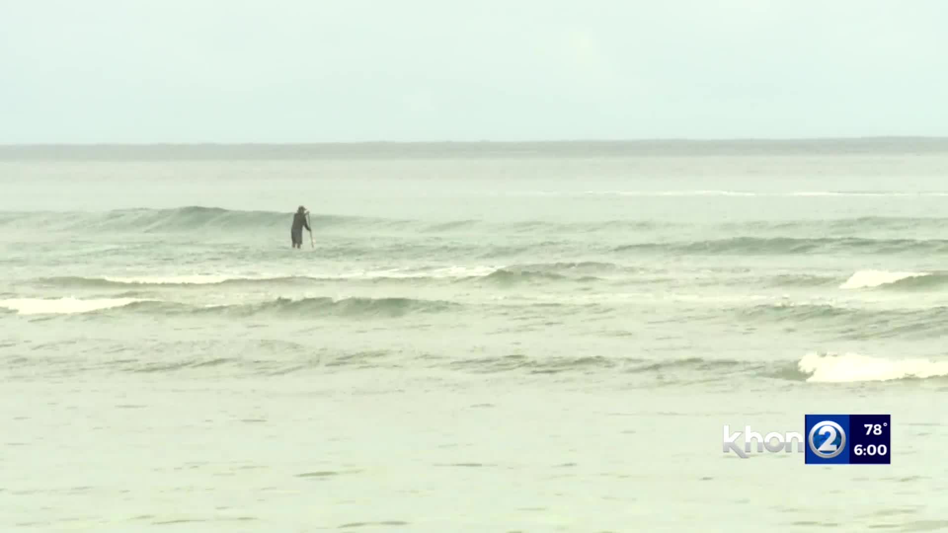 ‘Aggressive’ shark attack at Kewalo leaves surfer in serious condition ...