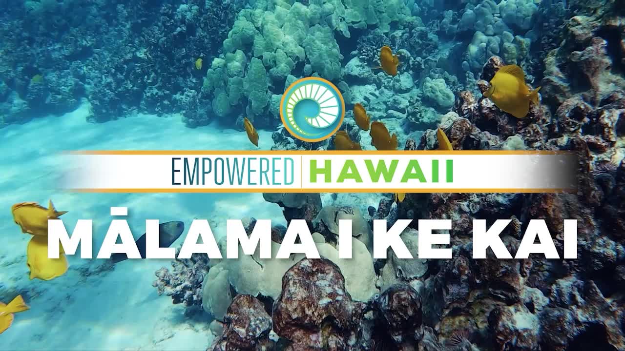 Malama i Ke Kai: Care for the Ocean – KHON2