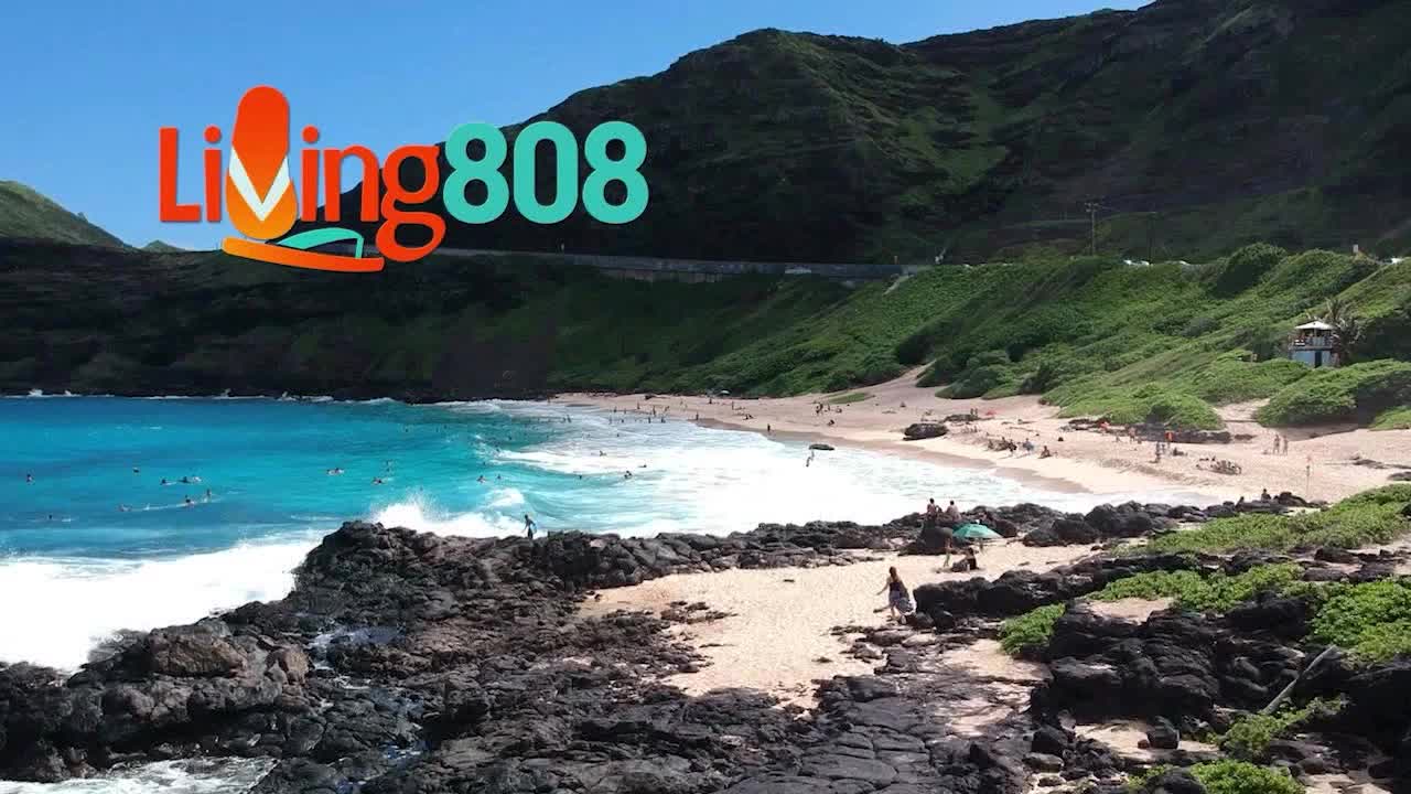 Kaua‘i Poke Fest Returns in 2025 with Two Days of Flavor and Fun – KHON2