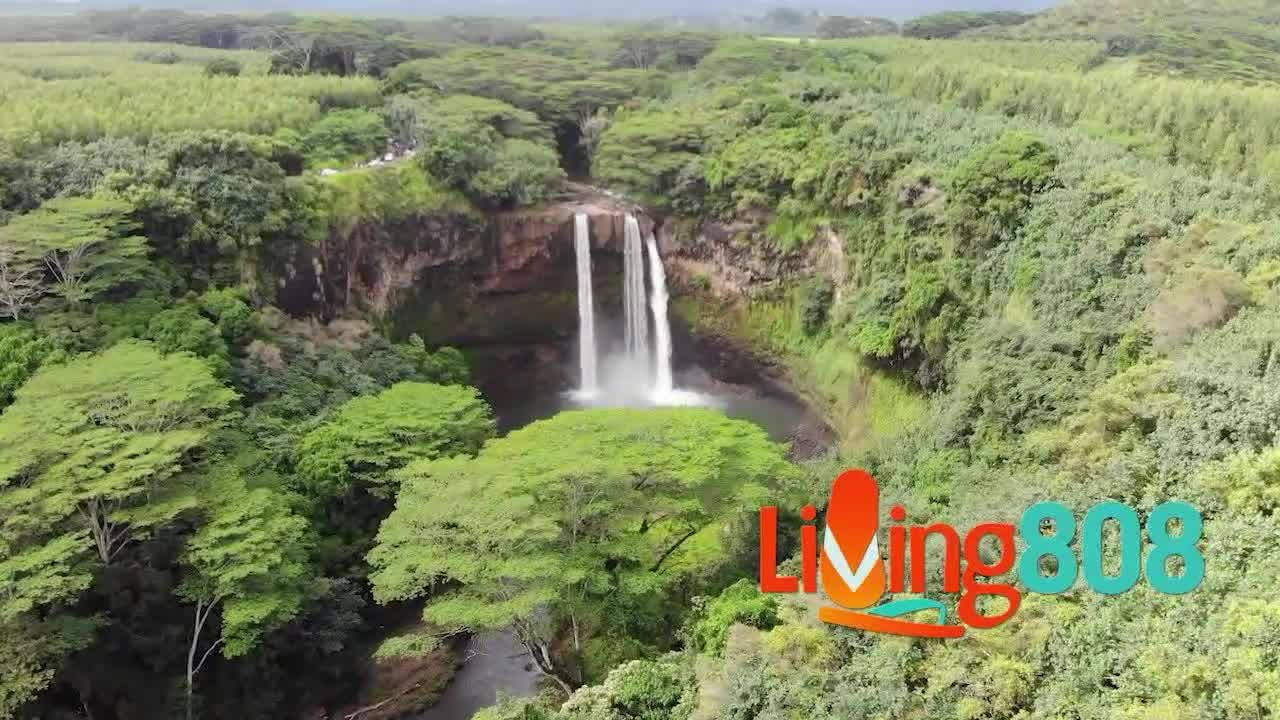 The Waʻa Collective is Normalizing Mental Health in Hawaiʻi and Pacific ...