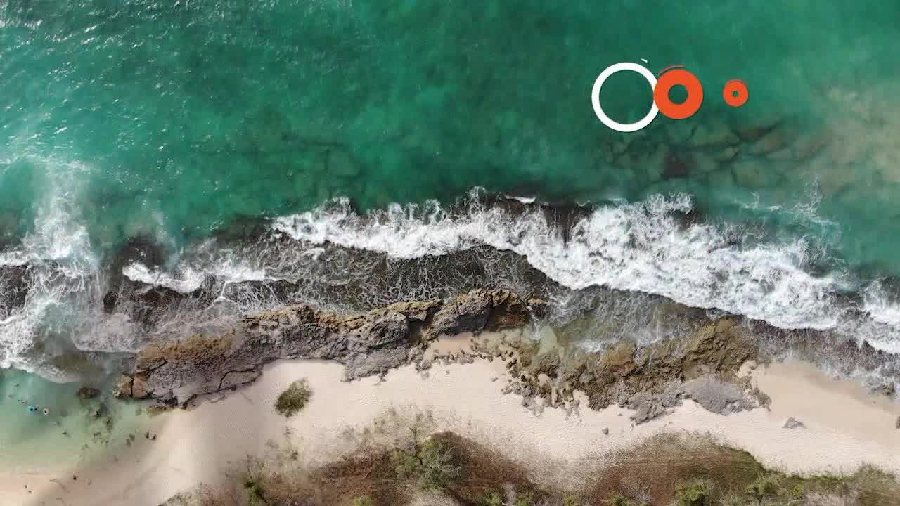 44th Annual Rainbow Invitational Marching Band Festival Returns to TC ...