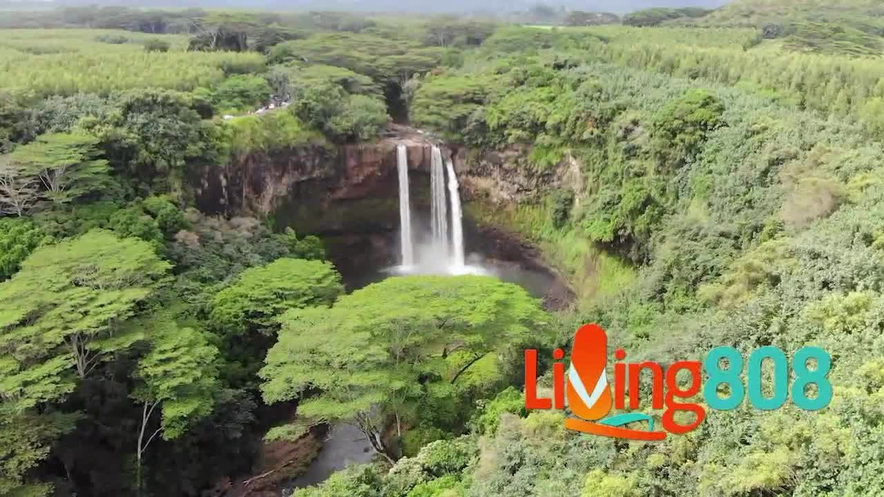 Hawaii Energy: Leading the Charge for Energy Efficiency in Hawaii – KHON2