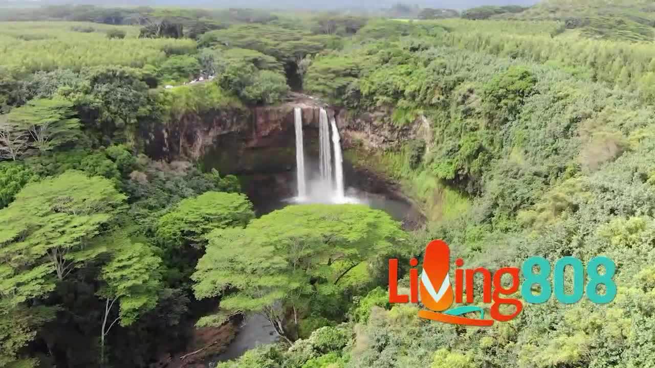 Special Olympics Hawaii Gears Up for Inaugural Coca-Cola Bottling of ...