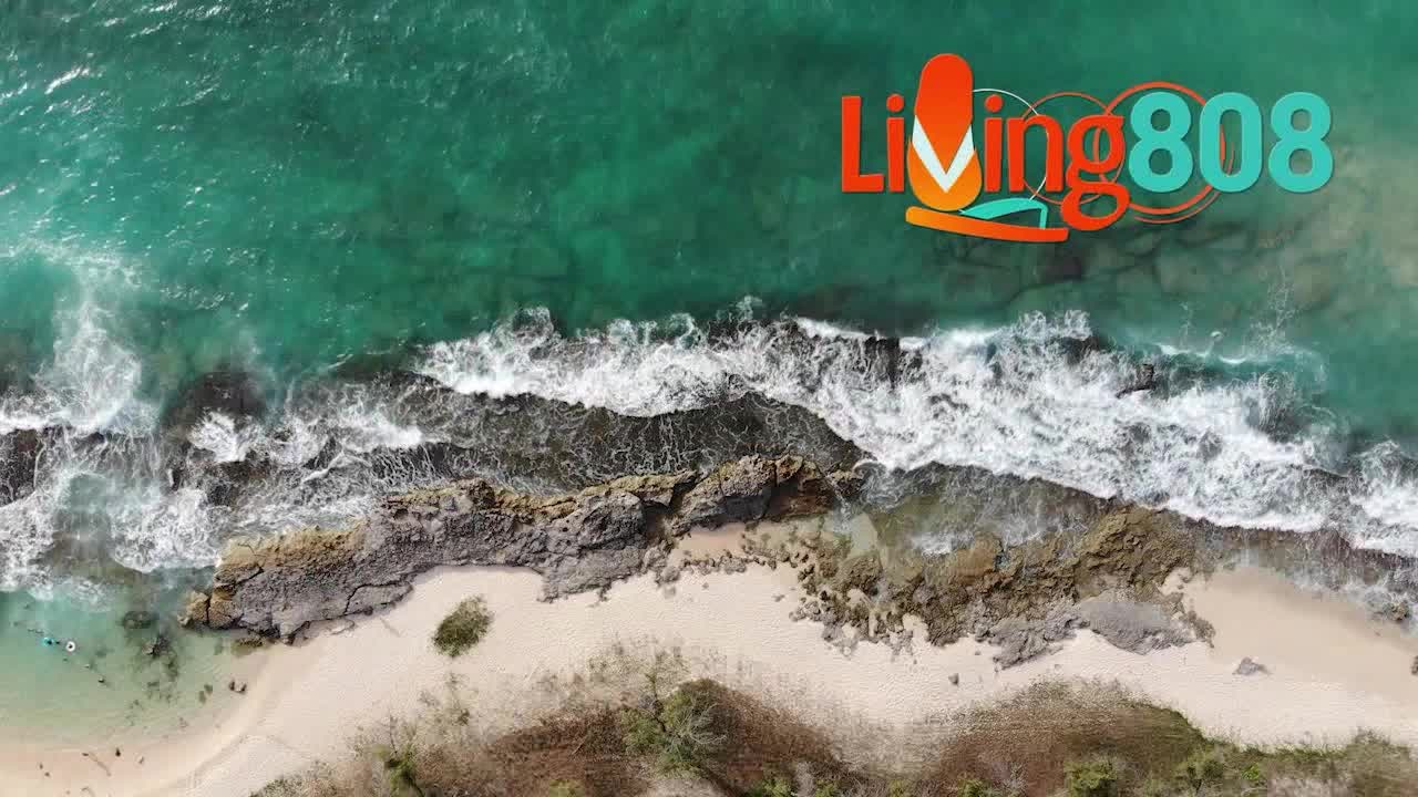 Behind the Scenes at Down to Earth Kapolei: Açaí Bowls, Super Smoothies ...