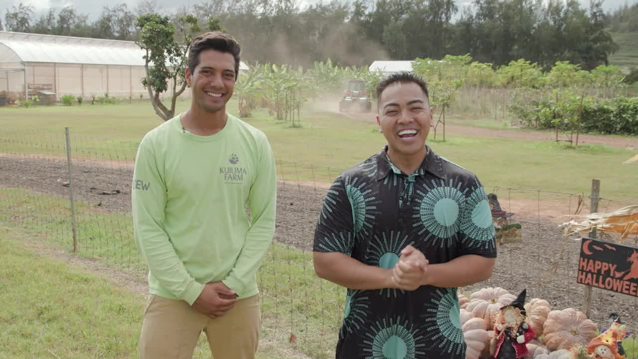 Kuilima Farm Hosts First-Ever Fall Festival – KHON2