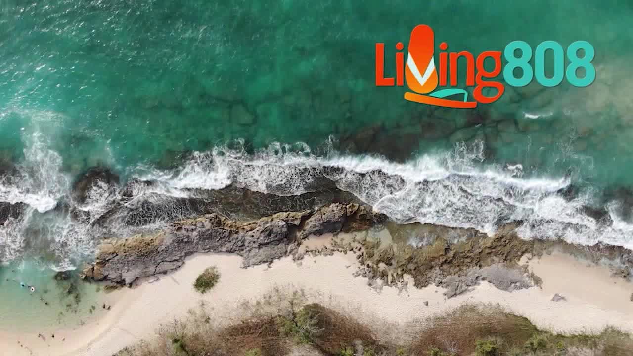 PBS Hawai‘i Launches Reggae Documentary Series Exploring Hawai‘i’s ...