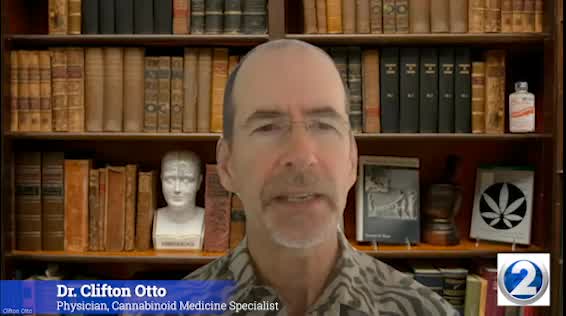 Is access to cannabis a human rights issue? KHON2.com talks story with ...