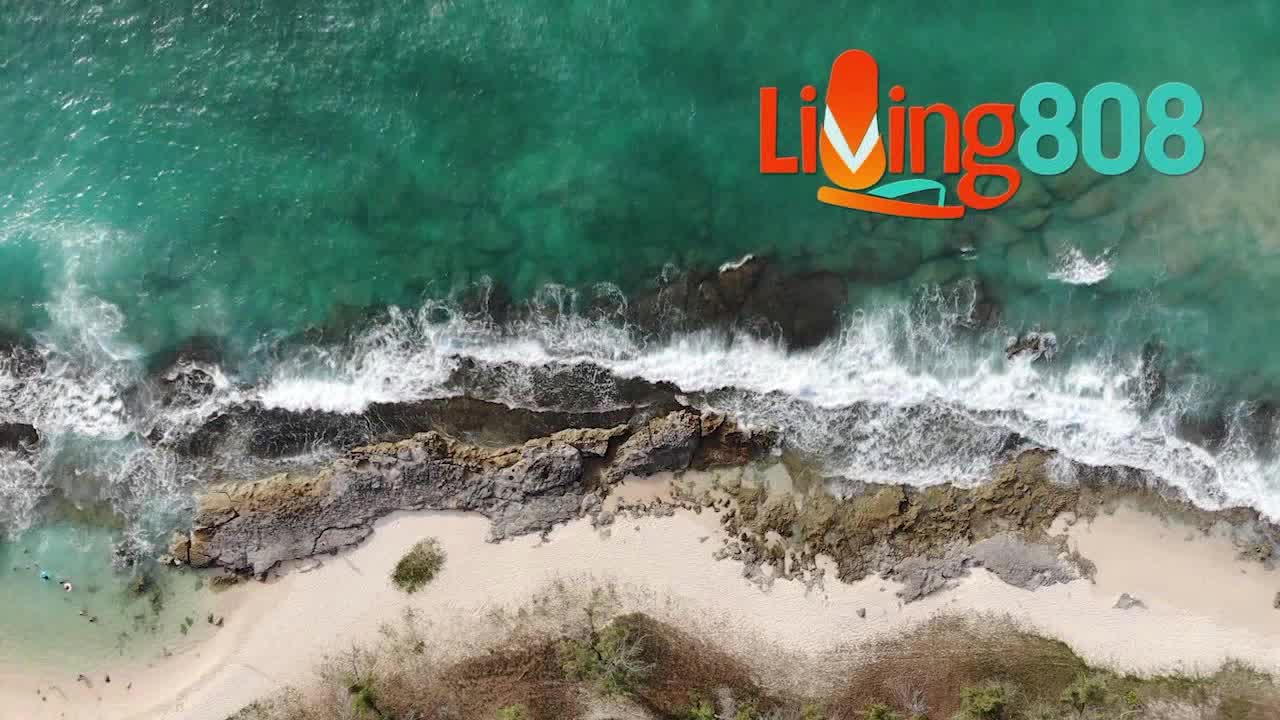 Aloha Swim Returns: Waikīkī’s Hottest Summer Celebration at OUTRIGGER ...