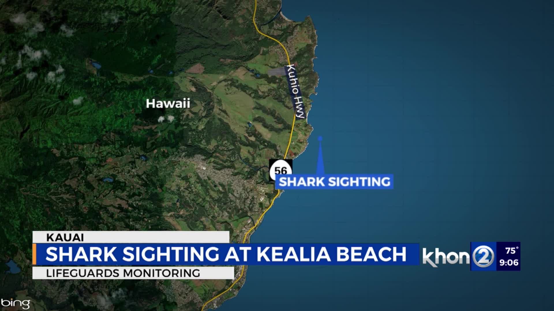 Shark sighting off Kaua’i shoreline; warning issued – KHON2