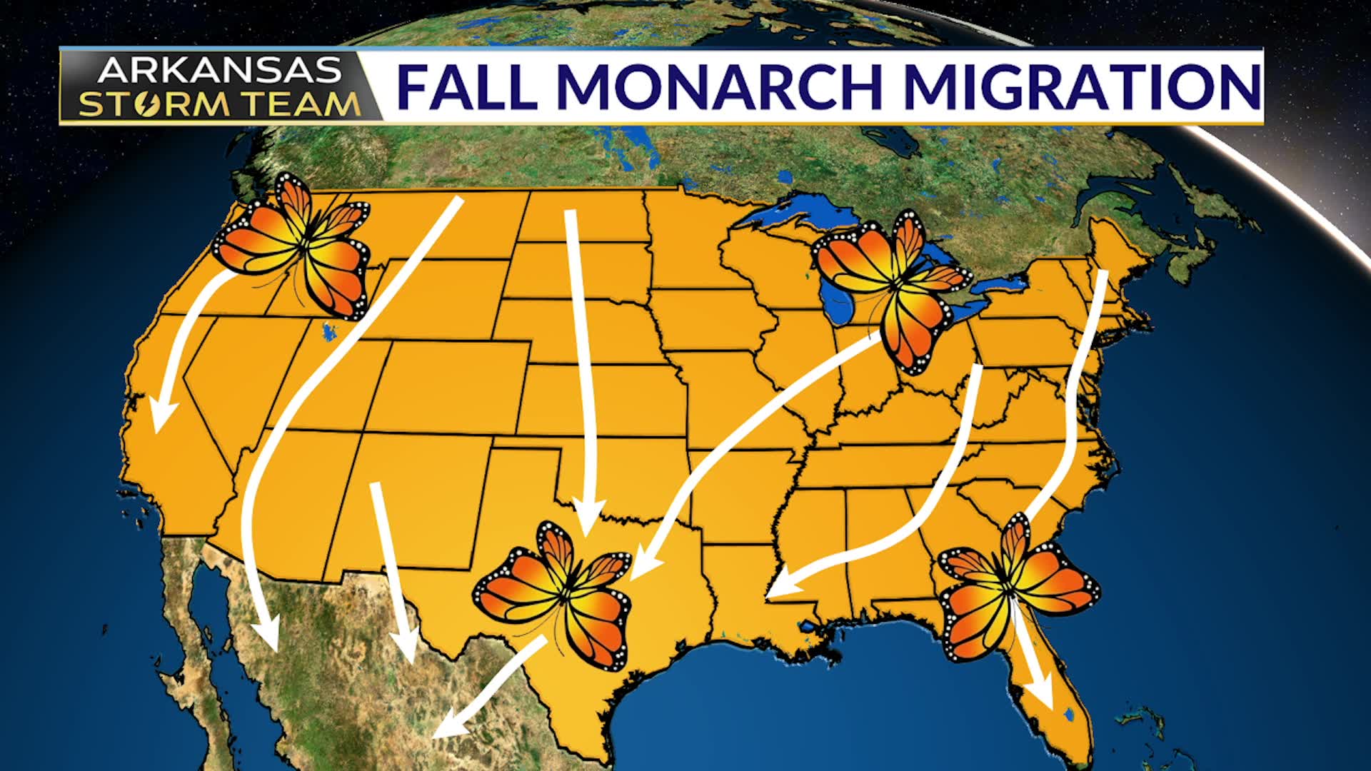 Monarch Butterfly Fall Migration – KLRT – FOX16.com