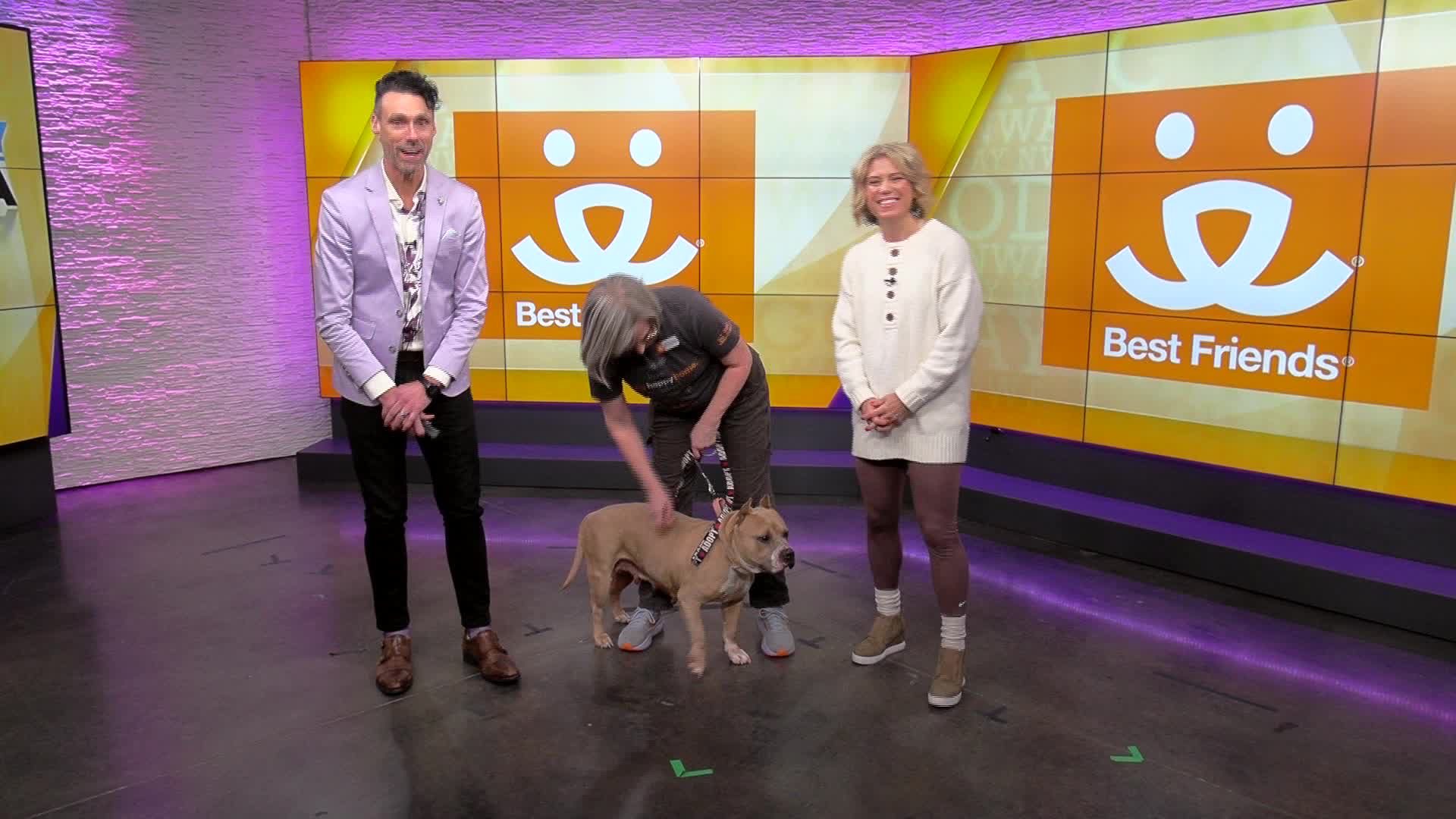 Two Adoption Events at Best Friends Pet Resource Center – KNWA FOX24