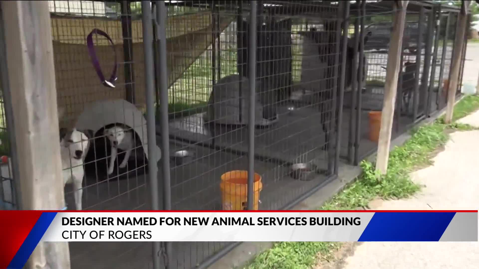 Rogers hires architecture firm to design new animal services building ...