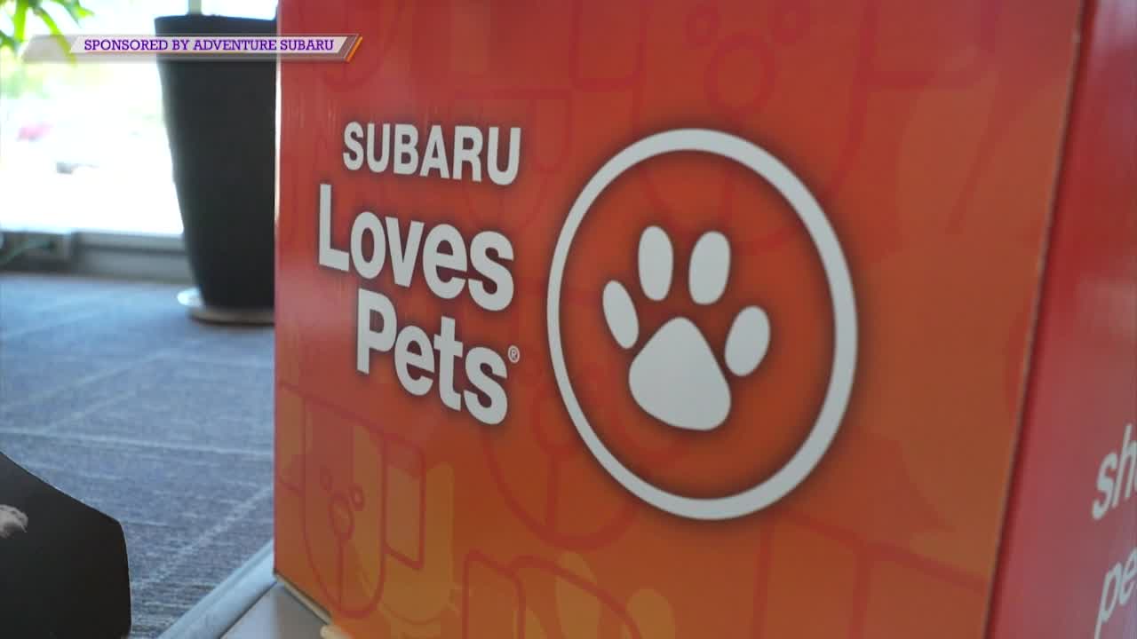 Subaru Loves Pets! Find out how they are supporting furry friends ...