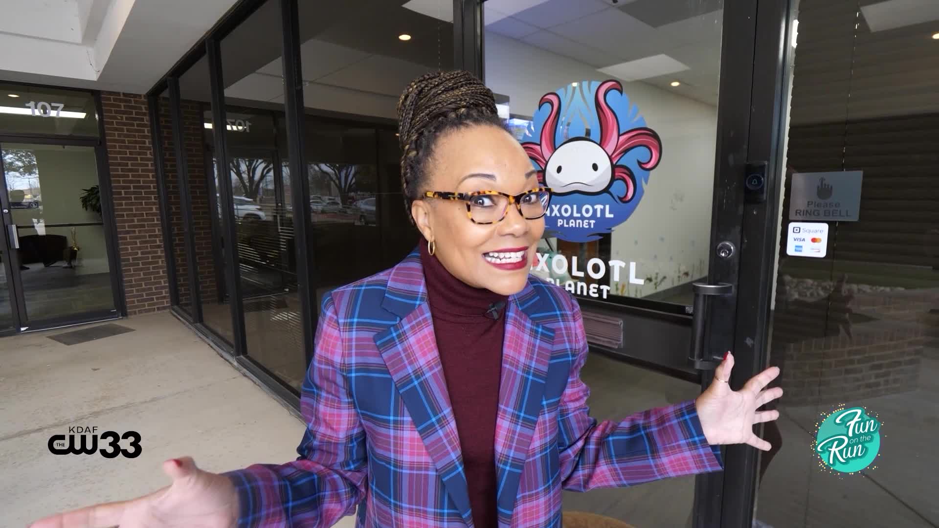 This North Texas spot is the largest breeder of axolotl in the world ...