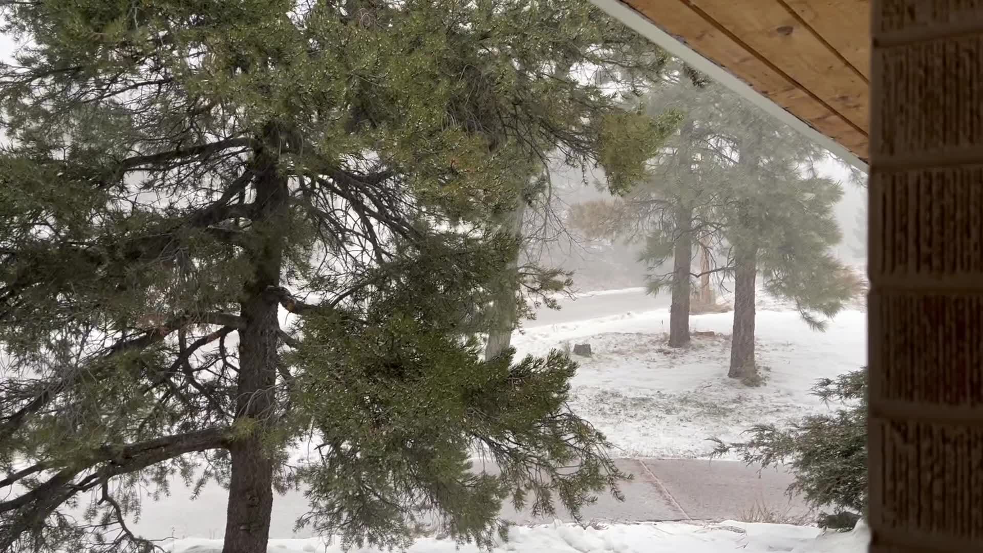 Thundersnow on Lookout Mountain – WANE 15