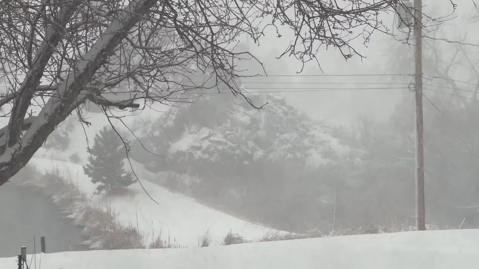 Lookout Mountain snow – FOX31 Denver