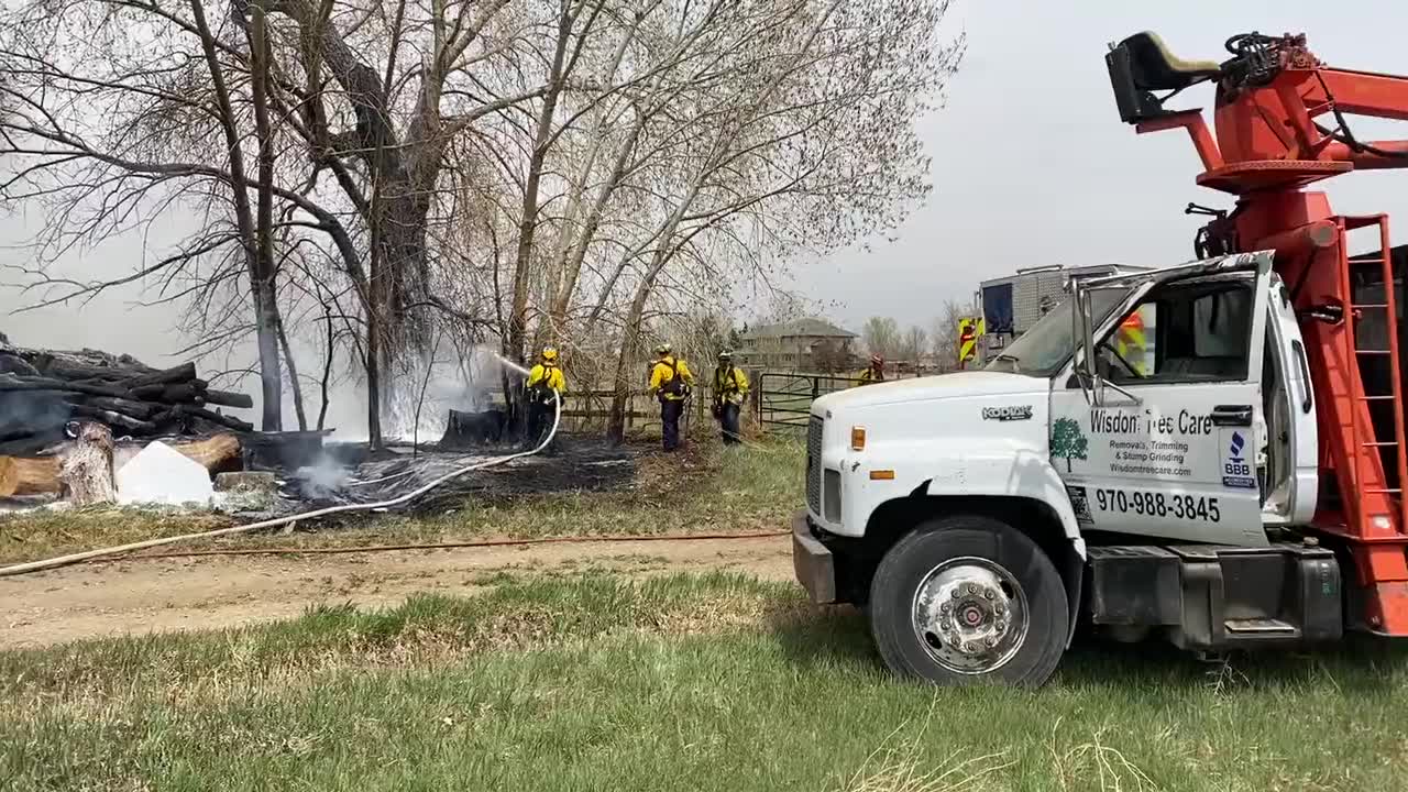Heavy timber slash pile catches on fire in Fort Collins – FOX31 Denver